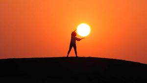 About Professor Power - What does this website do?